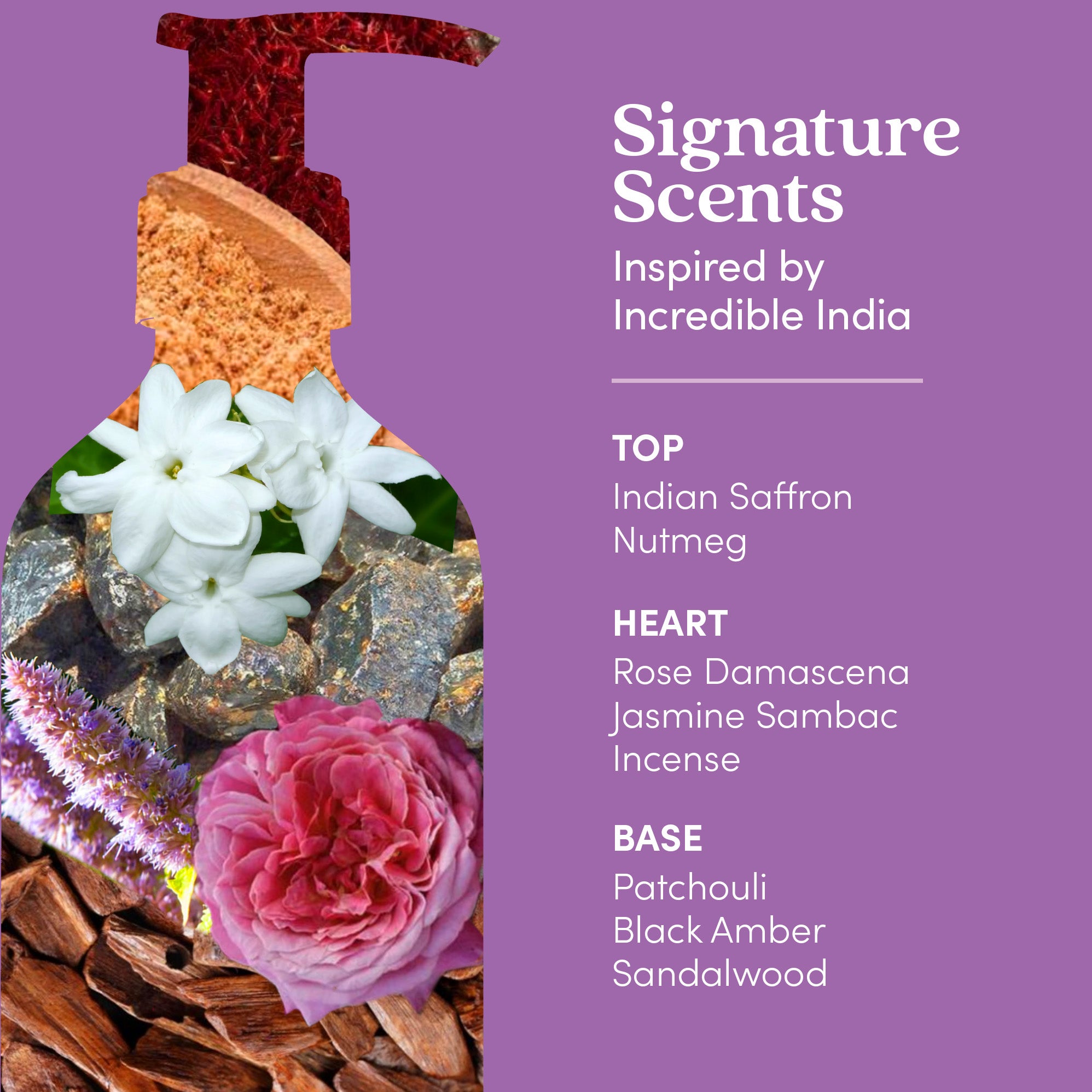 Volumizing Shampoo | Fable & Mane